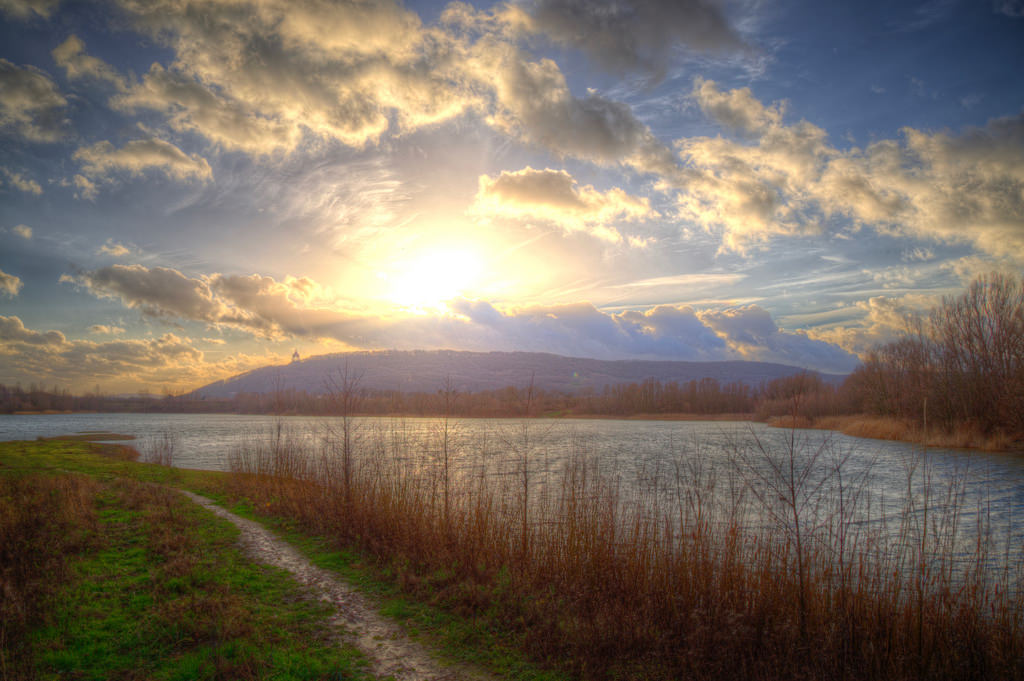 Poetry – Tenny Thomas